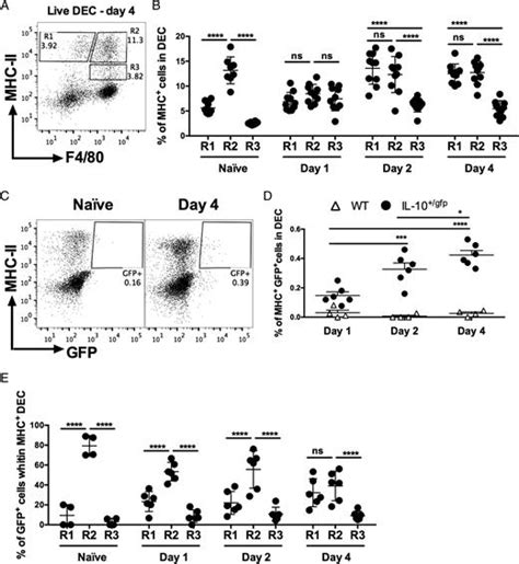 Il 10 Production In Macrophages Is Regulated By A Tlr Driven Creb