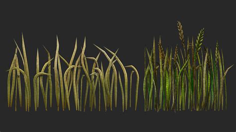 Tall Grass Texture Alpha Grasses Ornamental Grass Lawn Spring New