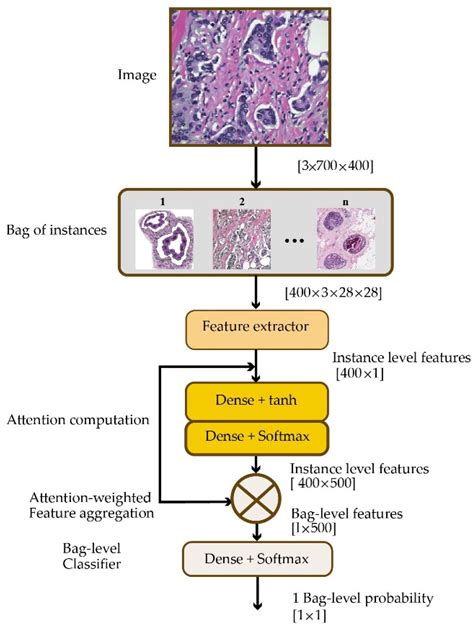 Breast Cancer Dataset Classification And Detection Using Deep Learning