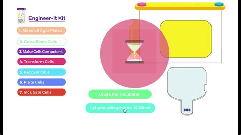 Genetic Engineering Engineer It Kit Simulator V20 Walkthrough Learn