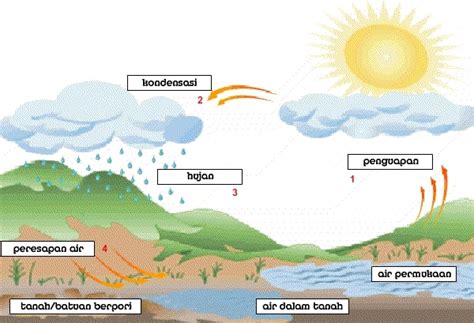 Siklus Hidrologi Siklus Air Proses Jenis Manfaat Gambar Mutualist Us