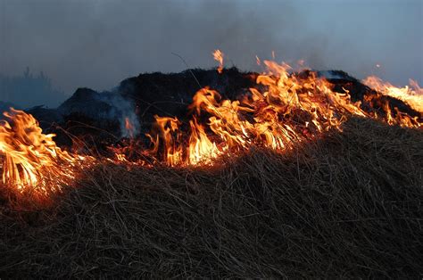 Rcmp Forestry Crimes Unit Charges Alberta Man With 23 Counts Of Arson
