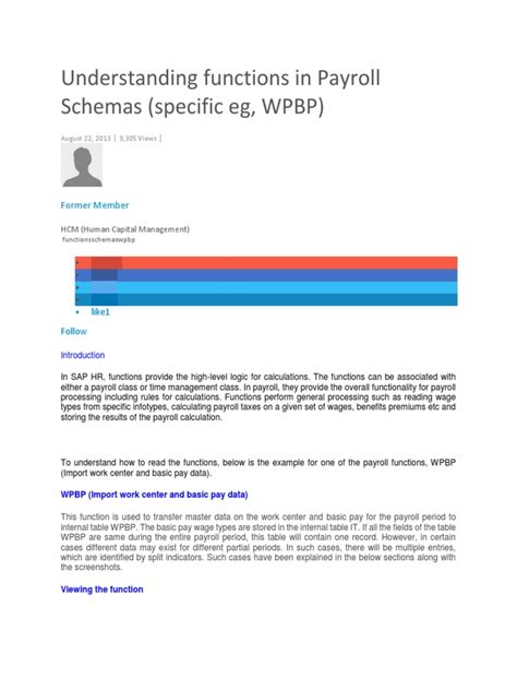 Understanding Functions In Payroll Schemas Pdf Subroutine Payroll