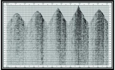 Shot After Noise Attenuation Download Scientific Diagram