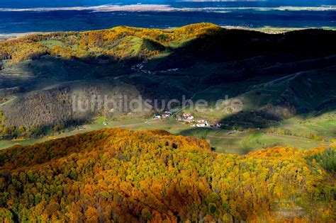 Luftaufnahme Vogtsburg Im Kaiserstuhl Herbstluftbild Weinbergs