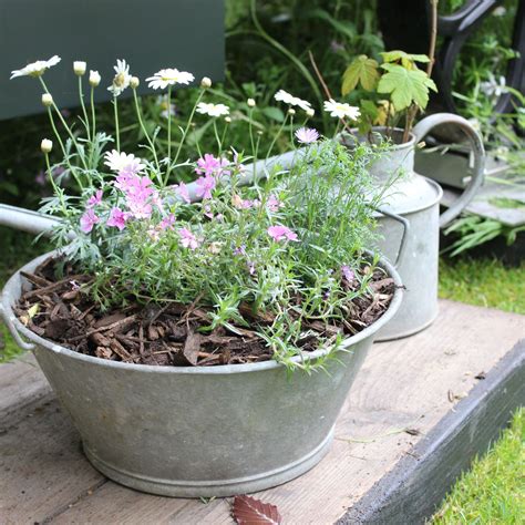 How Often Should You Water Your Garden In The Hot