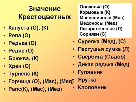 Класс двудольные Семейство крестоцветные презентация онлайн