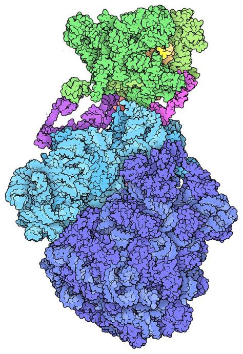 《自然》评选改变科学的10个计算机代码项目 字节点击