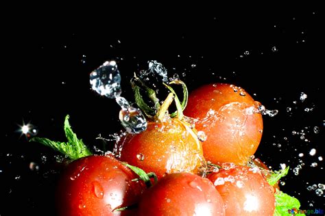 Tasty Tomatoes Free Image № 32879