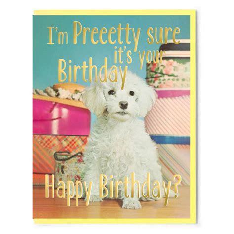 Im Pretty Sure Its Your Birthday Card Smitten Kitten Outer Layer