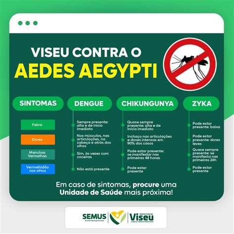 Viseuenses Na Guerra Contra O Aedes Aegypti Prefeitura De Viseu