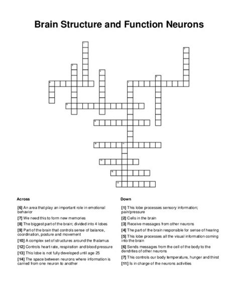 Brain Structure And Function Neurons Crossword Puzzle