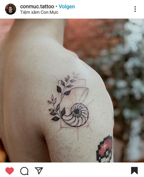 Fibonacci Schelp Nautilus Artofit