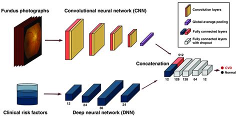 illustration of multimodal architecture which combines cnn with dnn to
