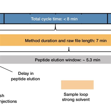 schematic of the high throughput low flow lc ms method download