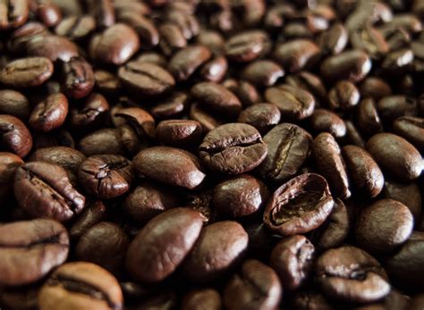 Top 999 Beans Wallpaper Full Hd 4k Free To Use