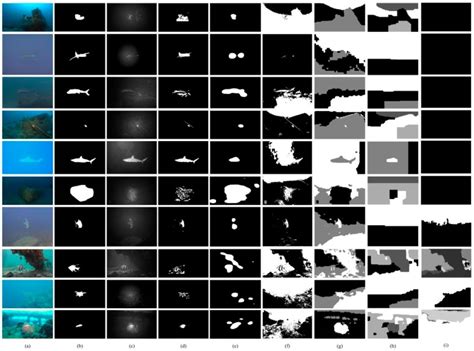 Underwater Object Segmentation Based On Optical Features Pmc