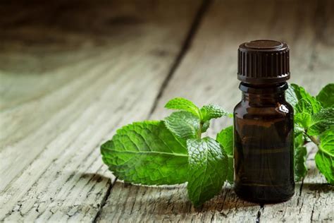 7 Best Herbs For Lungs Cleansing
