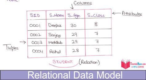 Relational Database Model In Database Management Model In HINDI Overview Of Data Models