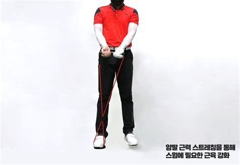 핫딜 무명 Ssazi 비거리증가 골프 Pt스윙파워밴드 연습기 딜팡 골프용품 전문쇼핑몰