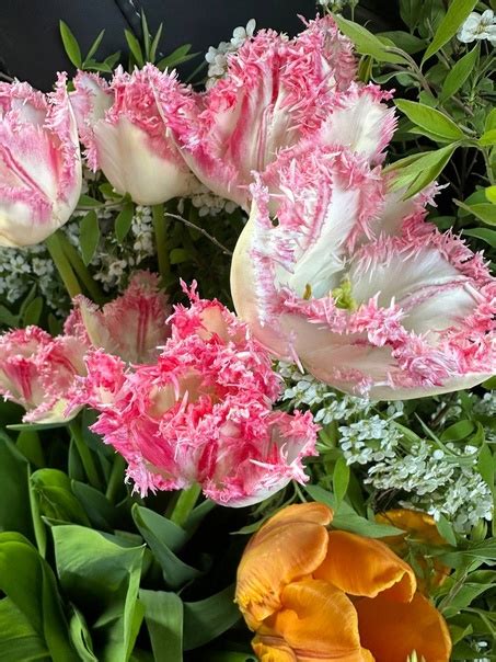 Добрый вечер друзья Настало время объявить победителей небольшой вчерашней активности с