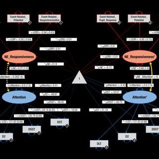 Pictorial Rendition Of The Structural Equation Model That Probes Download Scientific Diagram