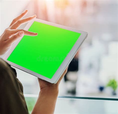 Green Screen Tablet And Hands Of Business Person At Office With