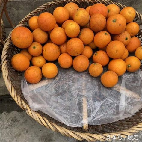 清晨的農村集市，隨便花三五塊錢就可以買到綠色的農村土產品 每日頭條