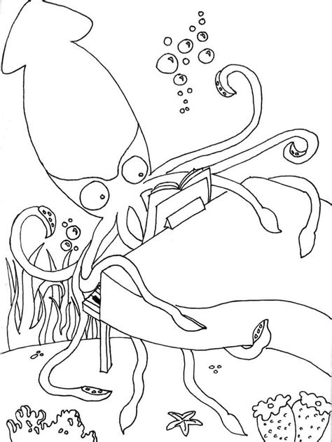 Dibujos De Calamar Para Colorear E Imprimir ColoringOnly