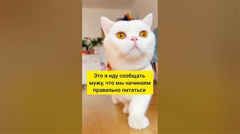 СТРОЙНЕЕМ БЕЗ ДИЕТ РАЗВЕРНИ 👇 Youtube