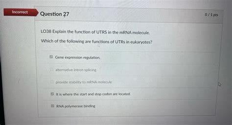 solved lo38 explain the function of utrs in the mrna