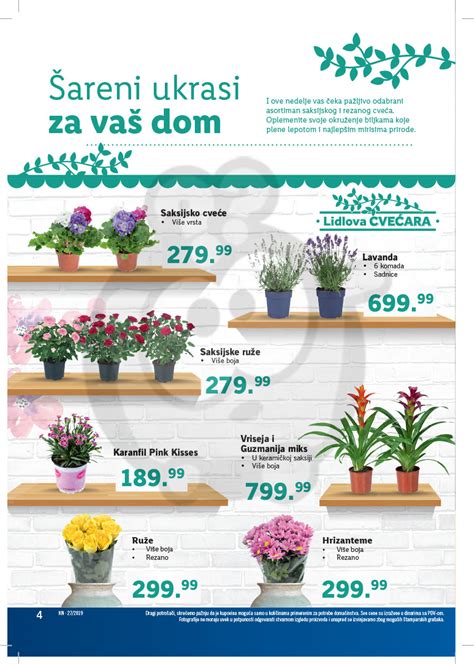 LIDL SRBIJA Katalog Akcija Kuda U Kupovinu