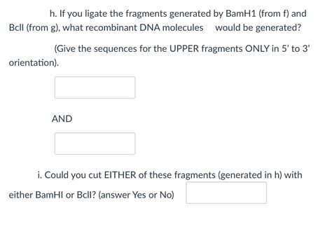 Solved For The DNA Shown Below Answer The Following 5 Chegg