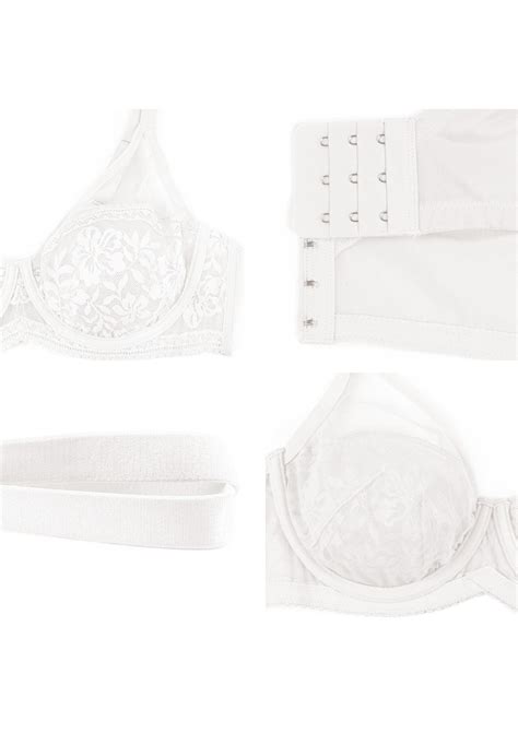 Hsia Gladioli Lace Mesh Minimizing Unlined Underwire Bra For Fuller Busts