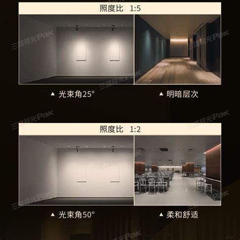 酒店行业照明解决方案 商业照明 家居照明 市政交通照明 广东三雄极光照明股份有限公司