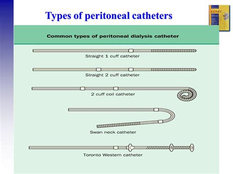 Peritoneal Dialysis Vs Hemodialysis Ppt
