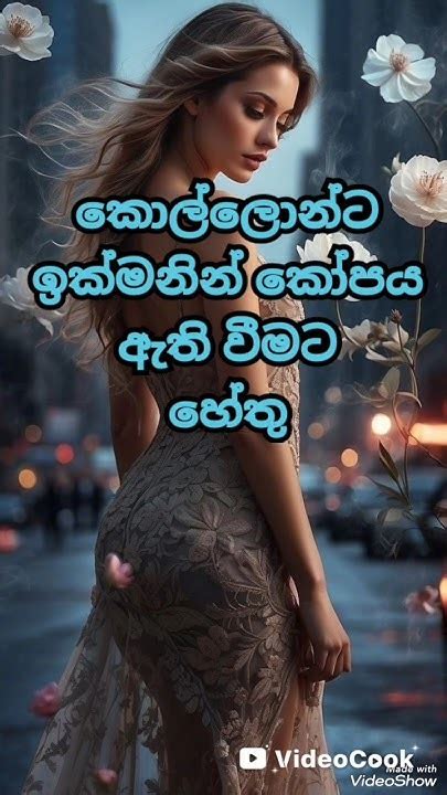 කොල්ලොන්ට ඉක්මනින් කෝපය ඇති වීමට හේතු Youtube