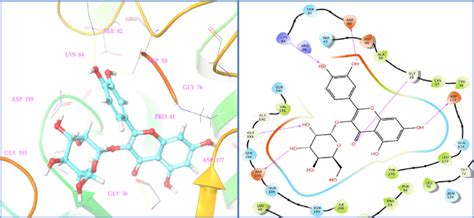 Two And Three Dimensional Residual Interactions Network Of Hyperoside