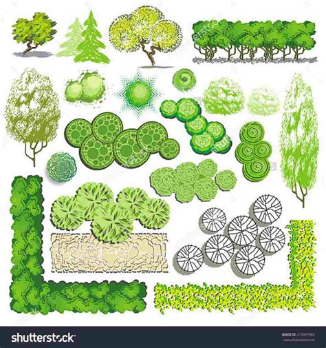 Tree Plan Vector At Getdrawings Free Download