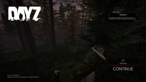 DayZ Interface In Game Video Game UI