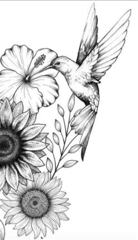 A Black And White Drawing Of A Hummingbird Flying Over Sunflowers