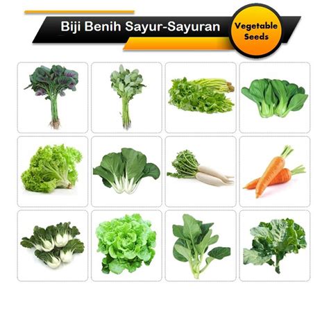 Biji Benih Sayur Sayuran Seeds For Vegetables Shopee Malaysia
