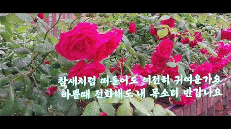 아름다운 노래와 찬양 모음집🌷 김주은주님의 은혜 Youtube