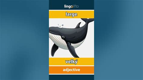 🇬🇧🇨🇿 Large Velký Vocabulary Builder Learn English Učme Se
