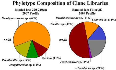 Taxonomic Classification Of Partial 16s Rrna Gene Sequences Amplified