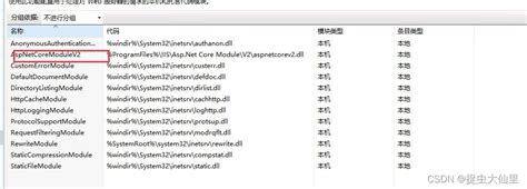 Bug笔记：解决 Error 50030 Aspnet Core App Failed To Start Csdn博客