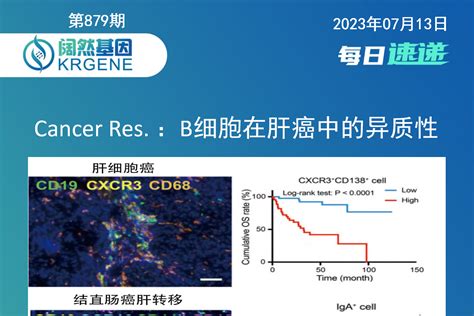 Cancer Res ：b细胞在肝癌中的异质性 阔然基因 阔然生物