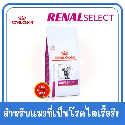 4 Kg Royal Canin Renal Select Cat หมดอายุ 052025 อาหารแมวสำหรับ