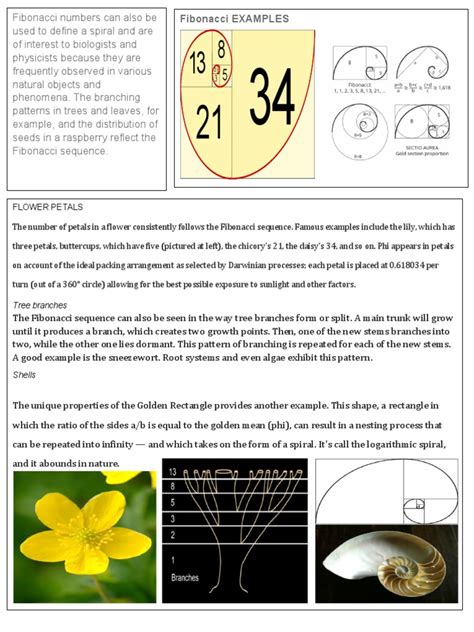 Fibonacci Pdf