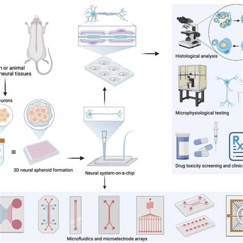 Design Principles Of Neural System On A Chip Platforms Download